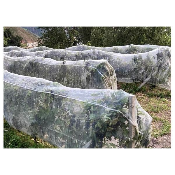 Quality UV Protection Agriculture Insect Net Orchard Insect Mesh High Density Greenhouse Insect Net for sale