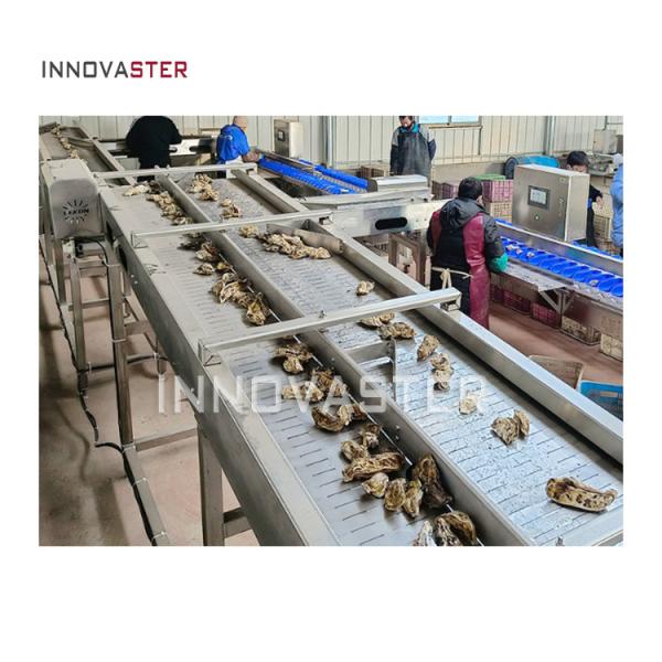 Quality Industrial Weight Sorting Machine for Sorting Fruits Vegetables Seafood and Oysters for sale