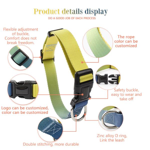 Quality Dog Collar Luxury Gradient Adjustable Reversible Solid Custom Logo Designer for sale