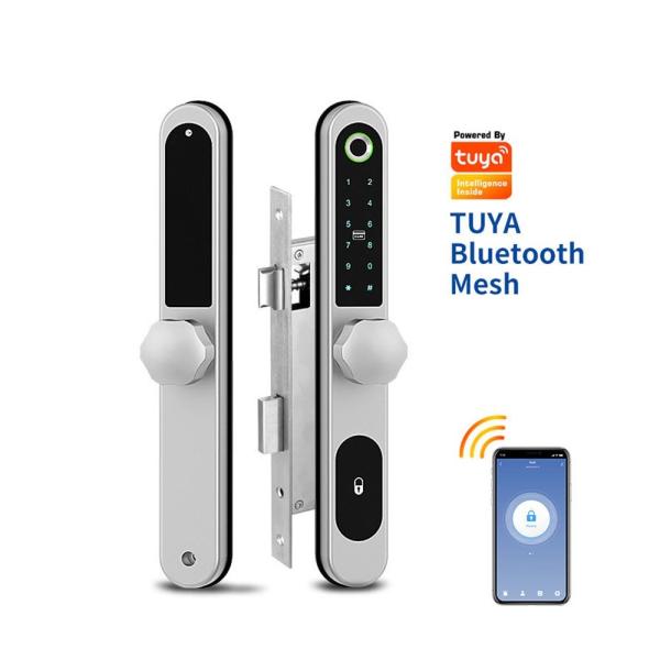 Quality Sliding Digital Smart Door Lock with TT lock and Slim Waterproof Wireless Door Lock for Hotel with Tuya APP for sale