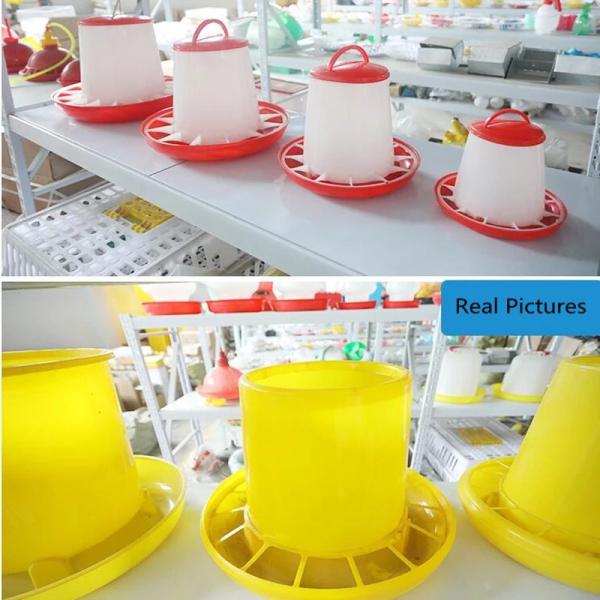 Quality Chicken Feeder 4KG 6KG 10KG 15KG Automatic Chicken Feeder Bucket for sale