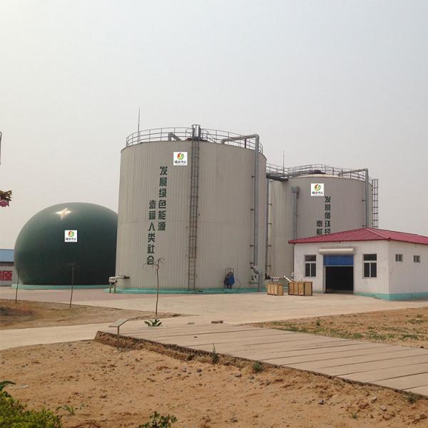 Quality Anaerobic Double Membrane Gas Holder PVC PDFE Biogas Gas Holder for sale