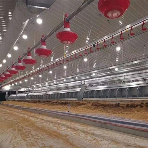 Quality 90 Degree Chain Automatic Pan Feeding System for sale
