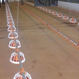 SS Automatic Poultry Feeder System For Chicken Broiler Breeder Layer ...