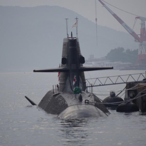 Quality Aircraft Carrier Hydropneumatic Rubber Marine Fenders for sale