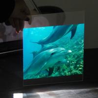 Quality Transparent 3D Holographic Projection Film Rear Window Hologram Projection Film for sale