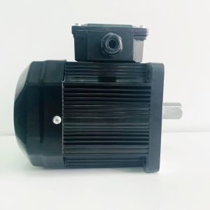 Quality 380V 4 Poles Permanent Magnet Synchronous Motor Without Gear Box for sale