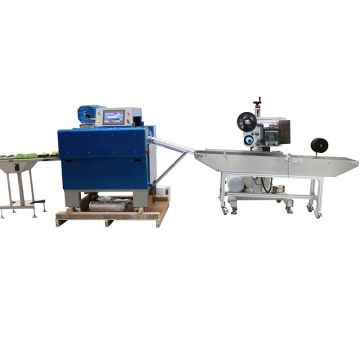 Quality High Precision Automatic Labeling Scale for Weighing Fruit Meat Motor Core for sale