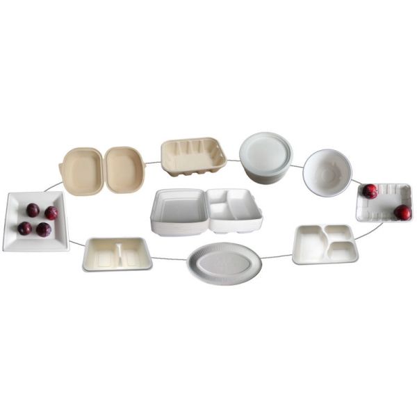 Quality automatic disposable Biodegradable sugarcane paper pulp food box making machine for sale