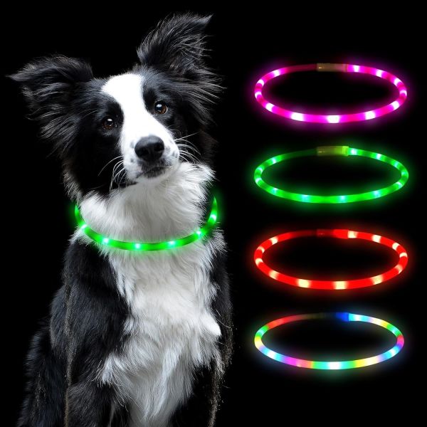Quality USB Rechargeable Lighted Dog Collar Band with Color Changeable Pet Collars for sale