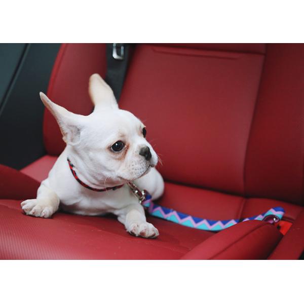 Quality Anti Shock Dog Seat Belt For Back Of Suv Jeep Wrangler Boot for sale