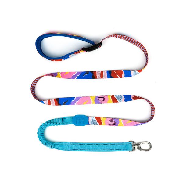Quality Multifunctional Adjustable Polyester Dog Leash Handsfree Bungee Dog Leash for sale