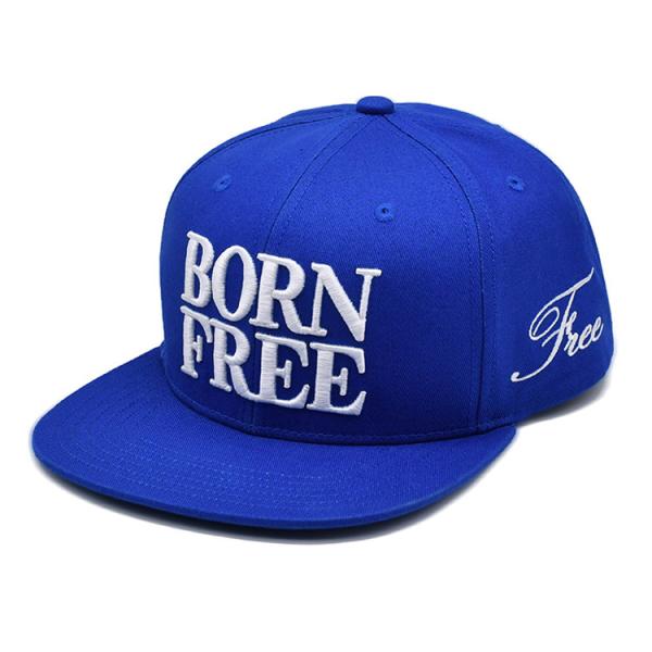 Quality BSCI Factory Custom Hat Snapback 3d Embroidery Snap Back Caps for sale