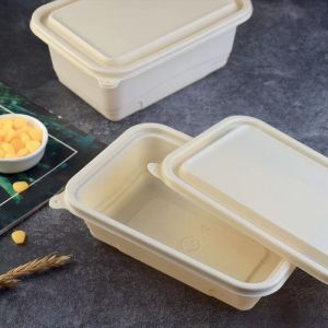 Quality 500 600ML Disposable Compostable Cornstarch Meal Lunch Box Fast Food Packaging for sale