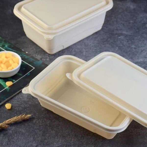 Quality 500 600ML Disposable Compostable Cornstarch Meal Lunch Box Fast Food Packaging for sale