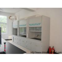 China Commercial Exhaust Laboratory Fume Hood Multifunctional Rustproof factory