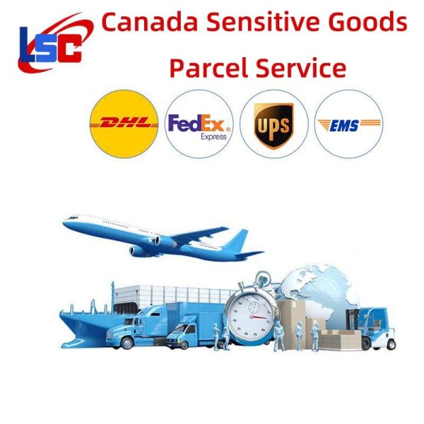 Quality China To Canada Sensitive Goods Small Parcel Service for sale