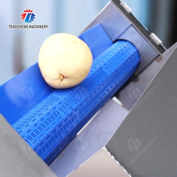 Quality Washing and juicing production line Fruit Orange Leaves Vegetables sward beans for sale