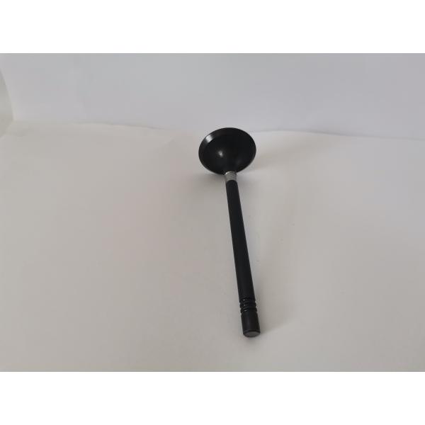 Quality 54372010 Diesel Engine Intake Valves Vw Gol EA111 1.0 8 V Rsh engine parts for sale