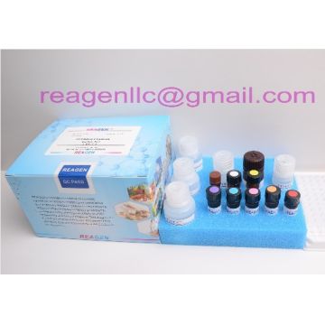 Quality Biopharmaceutical Kanamycin ELISA Kit Plasmid Detection 95% High Accuracy for sale