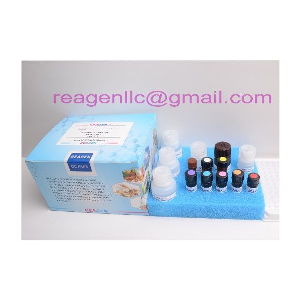Quality Biopharmaceutical Kanamycin ELISA Kit Plasmid Detection 95% High Accuracy for sale