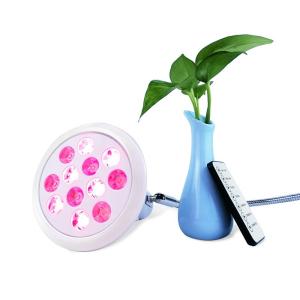 Quality 3 Inch Portable Red Light Therapy Device E27 Near Infrared Lamp for sale