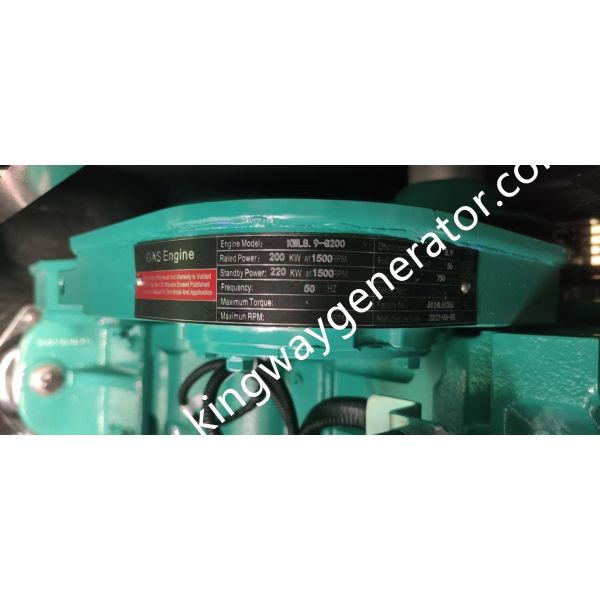 Quality Natural Gas 3 Phase Generator 220KW 275KVA Powered By  Engine for sale