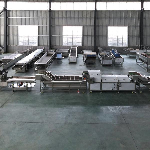 Quality Multifunctional Stainless Steel Fruit Cleaning Machine and Vegetable Washing for sale