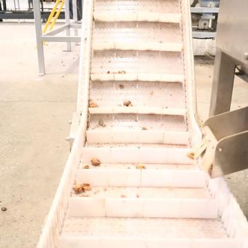 Quality CE Certified Dry Cracking Pecan Shelling Machine 100000 Nuts Capacity 220V for sale