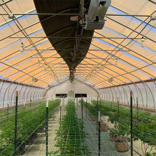 Quality Film Galvanized Sheet Light Deprivation Greenhouse Kits Length 30-60m for sale