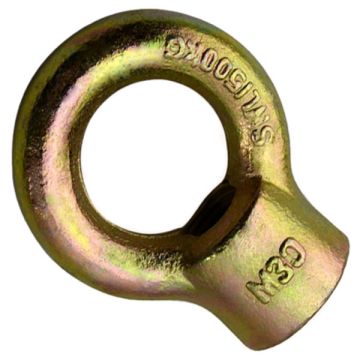 Quality M6 - M64 Galvanized Forged Eye Nut Standard JIS 1169 Eye Nut for sale