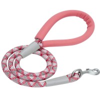 Quality Nylon Dog Leash for sale