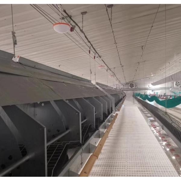 Quality PVC Poultry Farm Equipment for sale