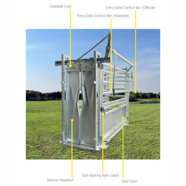 Quality Oem Ranches And Farms Vet Cattle Crush Galvanized Cattle Clipping Crush for sale