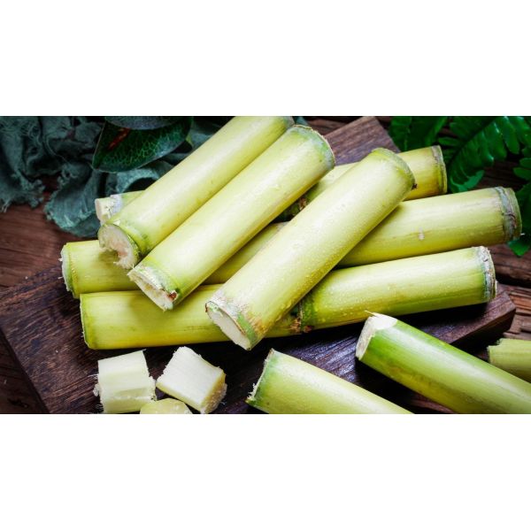 Quality 20kg/Bag Nutritional Feed Sweetener Nutritive Feed Additives 3.0-5.0 Ph for sale