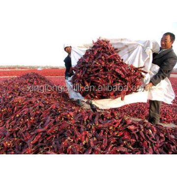 Quality FDA Sweet Pepper Paprika Stemless Dried Red Peppers Anhydrous for sale