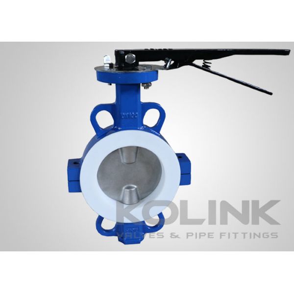 Quality PTFE Seated Butterfly Valve Concentric 2-48 Inch Class150 for sale
