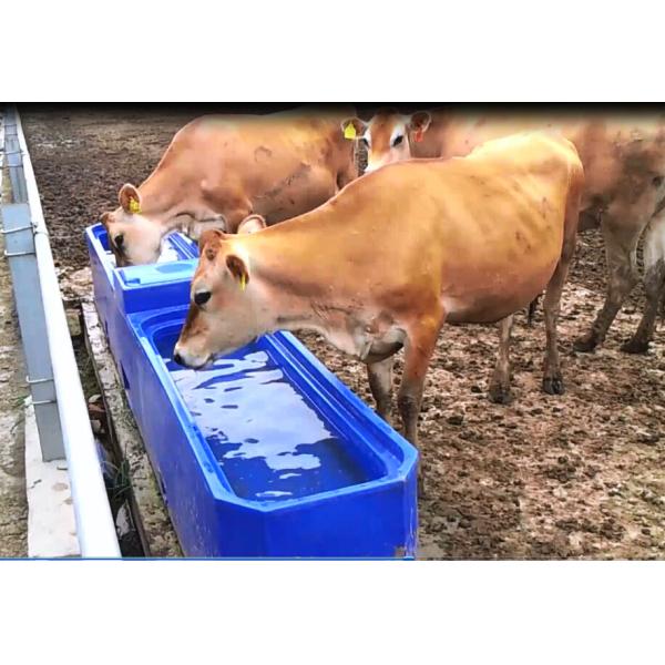 Quality Freeze Proof plastic L13ft 300L Livestock Water Tank for sale