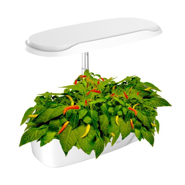 Quality Indoor Full Spectrum 24W Hydroponic Growing System Succulents Herb for sale