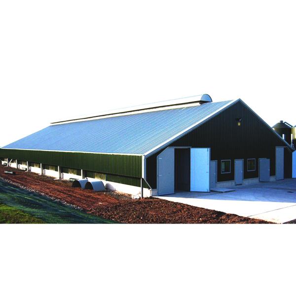 Quality Industrial-Style Large-Scale Steel Structure Chicken Farming Warehouse for Gymnasium for sale