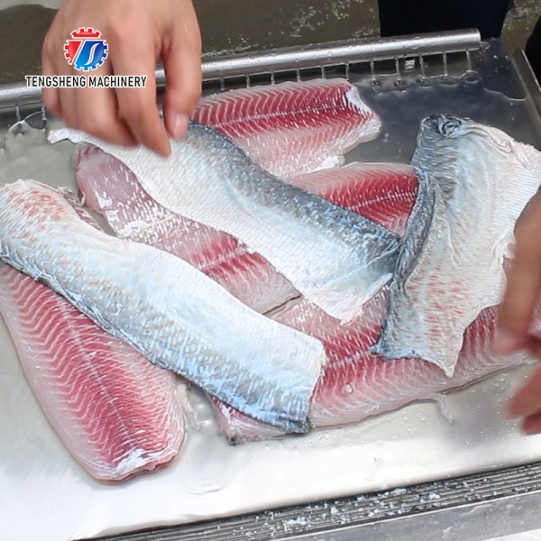 Quality 30pcs/min Fish Processing Machine Squid Cuttlefish Skin Peeler for sale