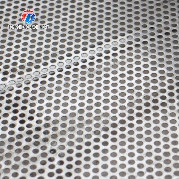 Quality 240KG 380V Automatic stainless steel fruit washing machine fruit cleaning for sale
