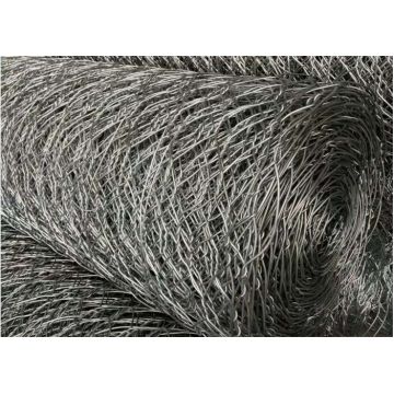 Quality 0.5in Hexagonal Chicken Coop Galvanized Wire Mesh Galvanised Wire Netting 50m for sale