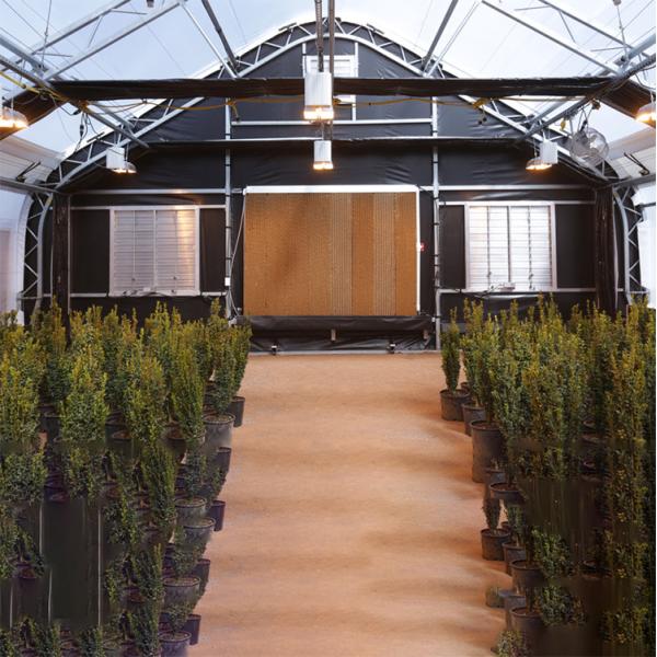 Quality Commercial Automated Blackout Greenhouse Poly Tunnel Light Deprivation for sale