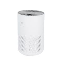 Quality White Mini 5V 5W Table Top Air Purifier CE USB HEPA11 Filter for sale