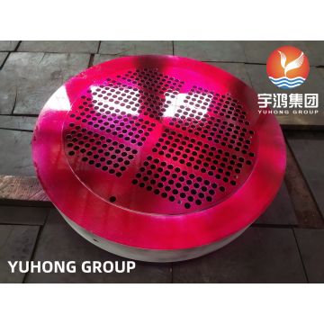 Quality ASME SA182 F304 UNS S30400 Stainless Steel Heat Exchanger Tubesheet of Tube for sale