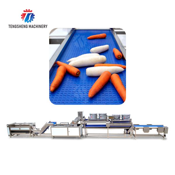 Quality Enhance Your Production with Our State-of-the-Art Fruit And Vegetable Processing for sale
