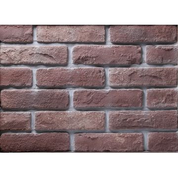 Quality Type A Series Building Thin Veneer Brick With Size 205x55x12mm For Wall for sale