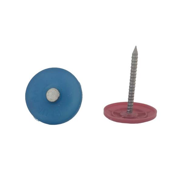 Quality Easy To Install Button Cap Roofing Nails , Plastic Cap Felting Nails ISO for sale