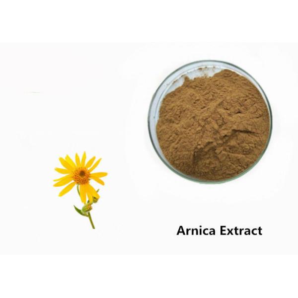 Quality Arnica Plant Extract Powder for sale